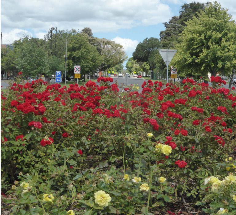 Maffra attractions and history – Discover Maffra and district